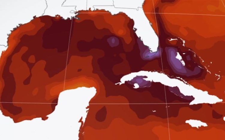 En Florida Aumenta La Temperatura Oceánica Científicos Advierten