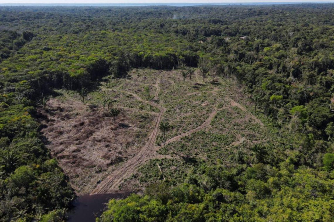 Deforestación del Amazonas en Brasil alcanza nivel más bajo en seis años